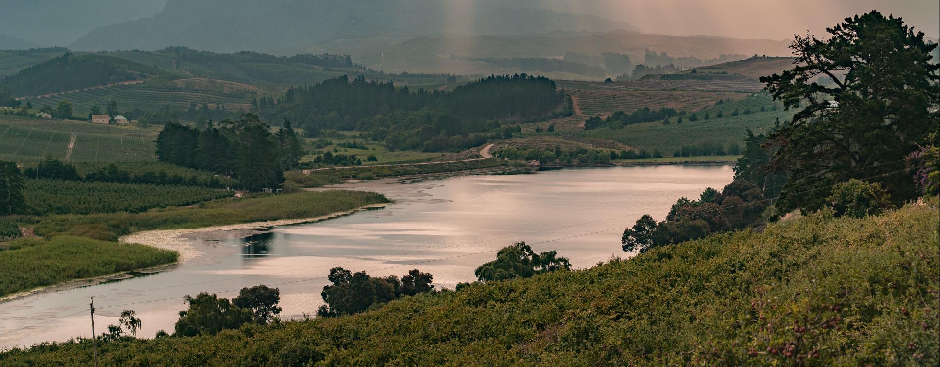 Elgin: The valley ripe with natural wonders, wine, and warm hospitality ...