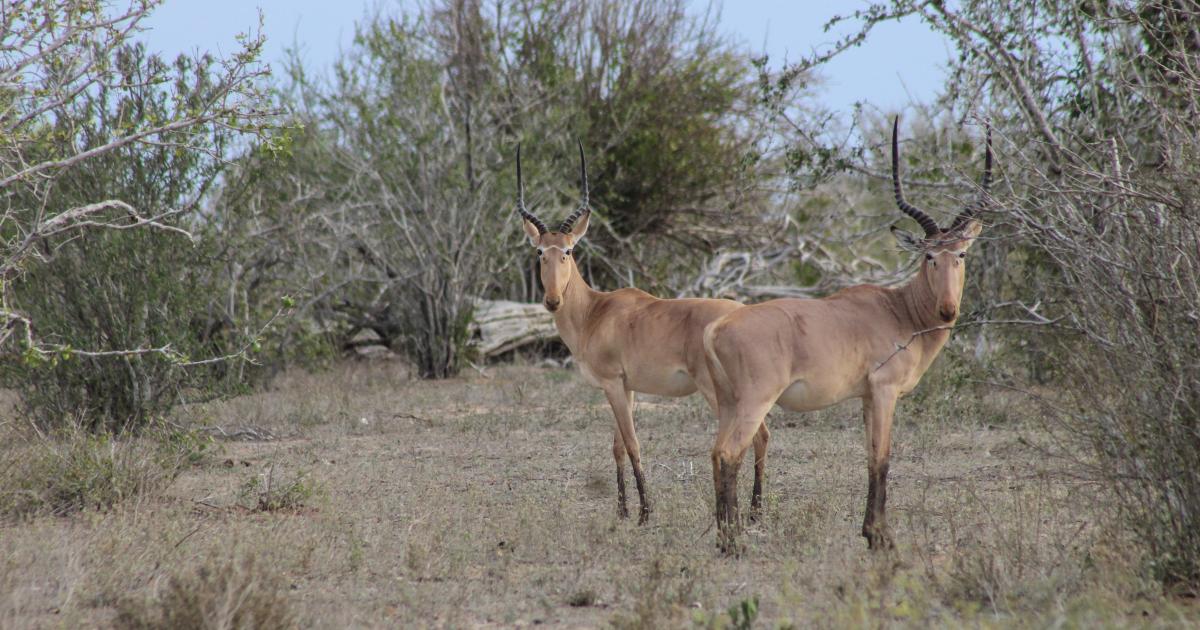 In this volatile region, locals are protecting the peace of the 500 ...
