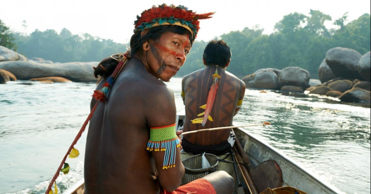 How the Kayapó people are guarding 10 million hectares of Amazon forest ...