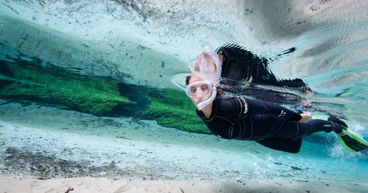 How television’s ocean advocate is making waves for people of colour ...